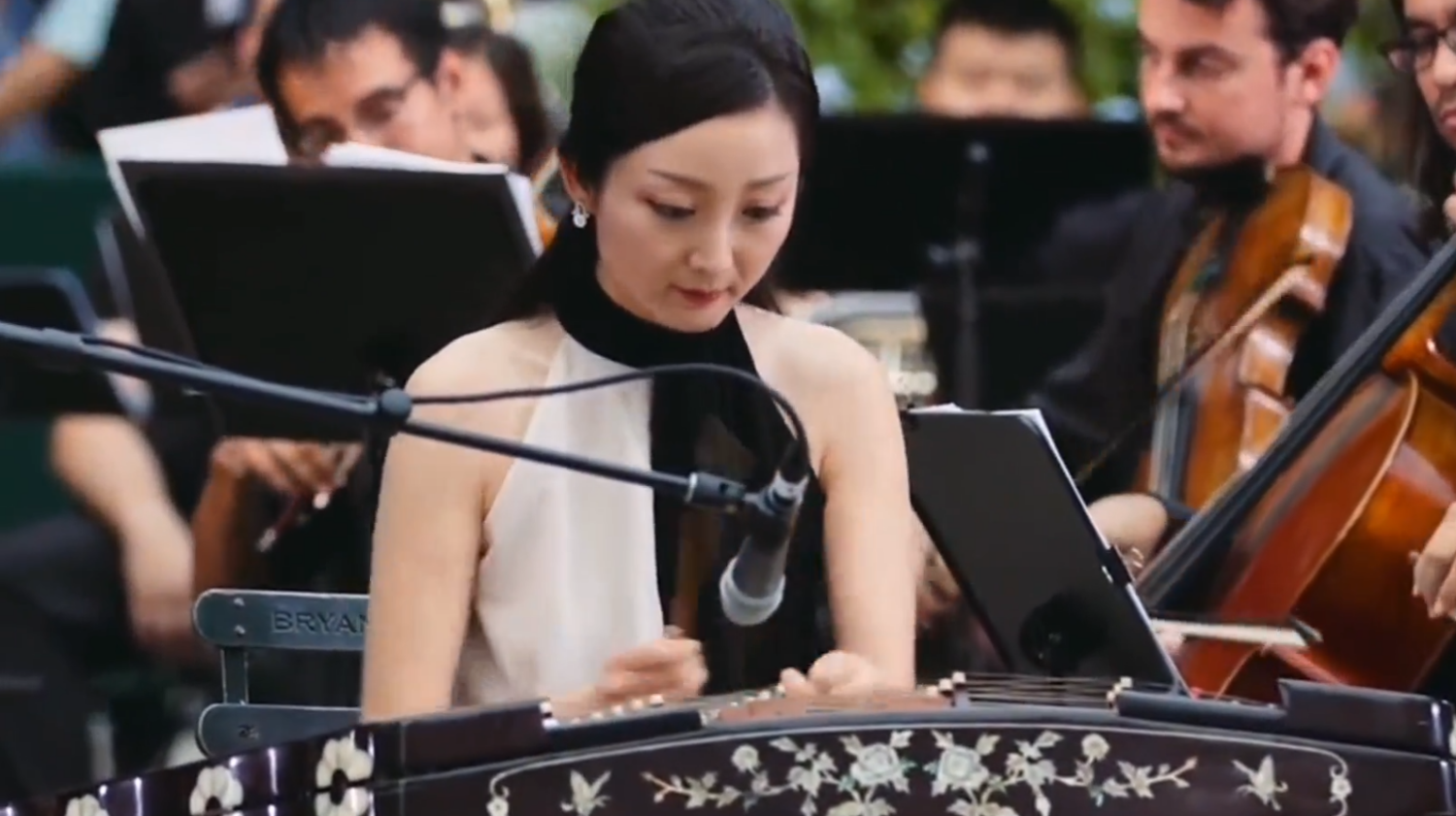 中国美女用古典乐器在外国街头演奏,太长脸了