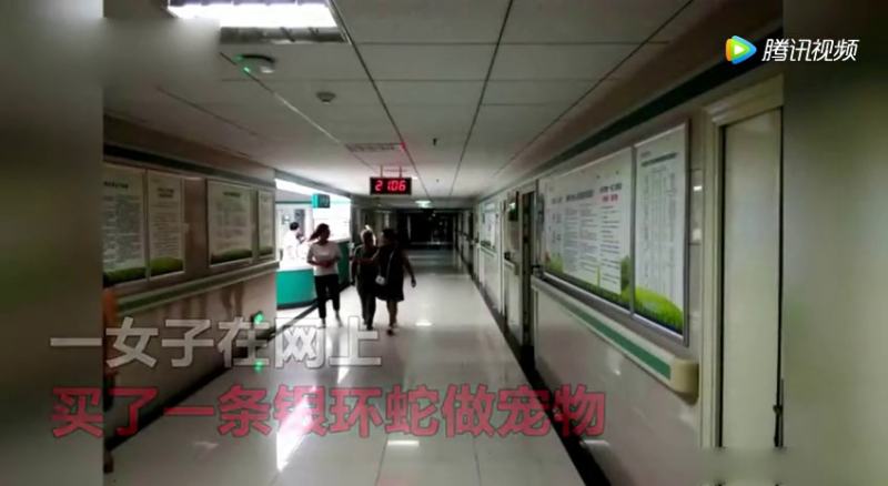 25岁女子想不开,竟然网购银环蛇饲养,咬伤自己!