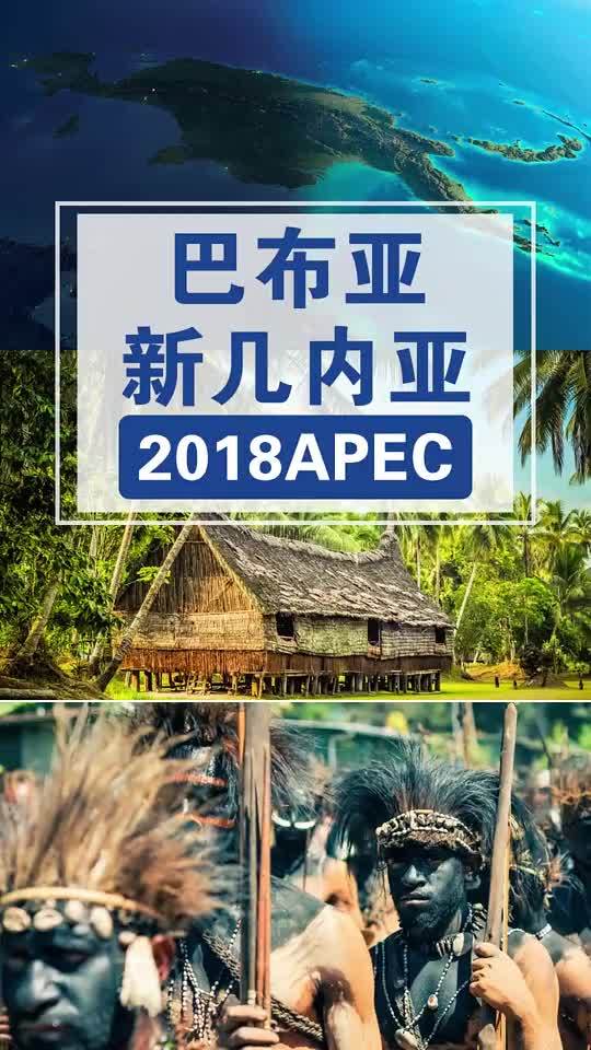 主办APEC,这个国家登上国际舞台