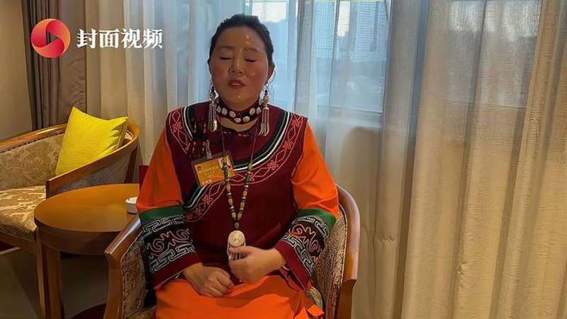 ...进双梅:彝绣技术人才出现断层 建议加强对传统文化的保护|代表在这里