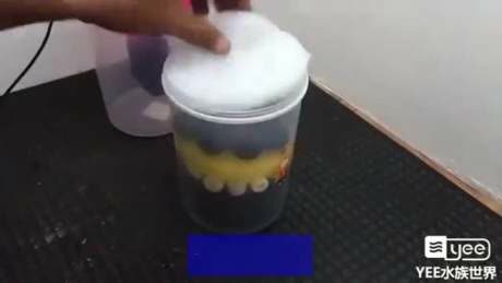 低成本塑料桶做个鱼缸外置过滤器,简单实用