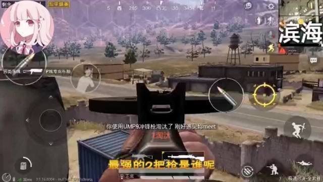 和平精英:实力最强的2把枪是谁?射速碾压狗杂,却没人用!