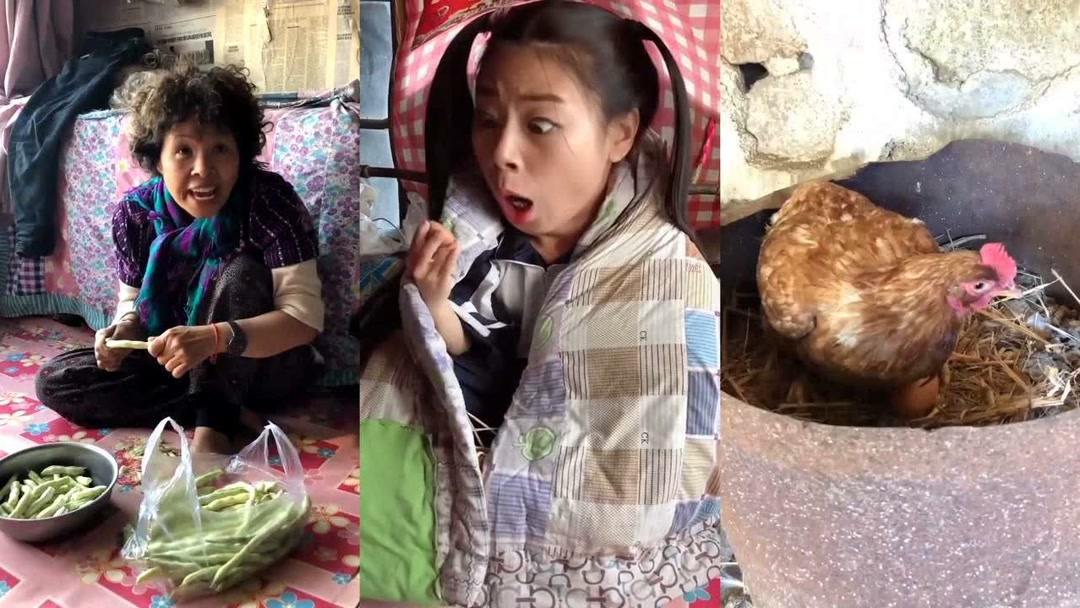 爆笑农村囧事:模仿母鸡孵化小鸡,最后真的成功了!