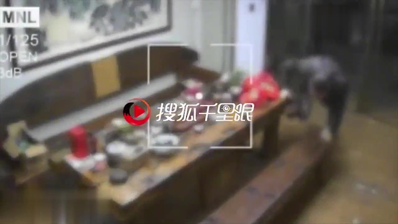 男子进门没注意有玻璃一招"铁头功"撞碎玻璃门