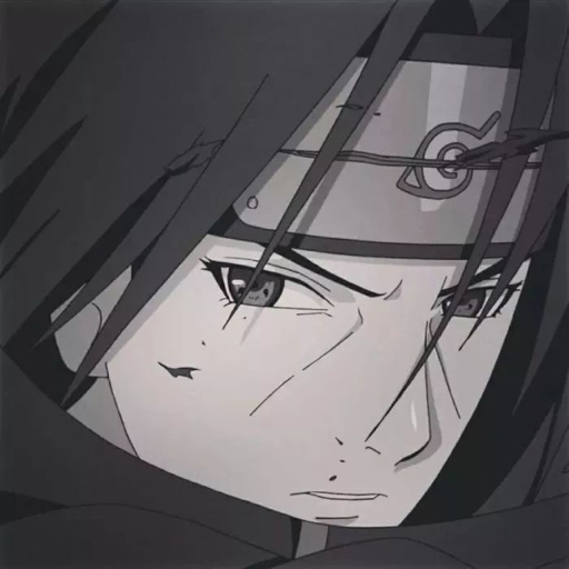 思君之卿 