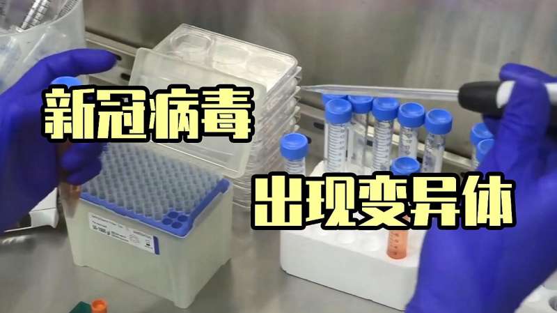 新冠病毒出现变异体!抑制人体免疫系统,降低其消灭病毒的能力