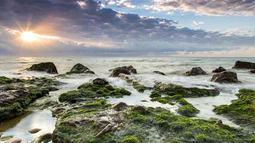 【放松轻音乐】 所有成功的人都是积极主动的人