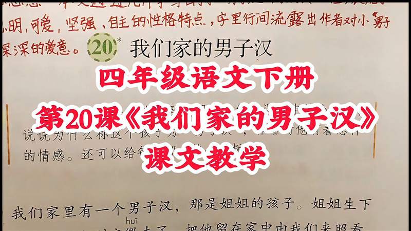 四年级语文下册第20课《我们家的男子汉》课文教学