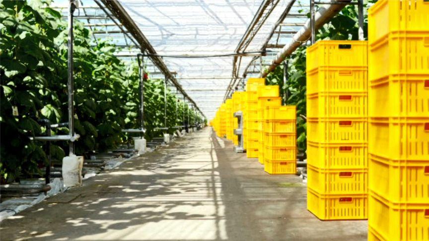 活性最强的杀菌剂,繁殖能力是有害菌100倍,2天杀灭所有病菌