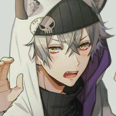 胡同里有三只猫 