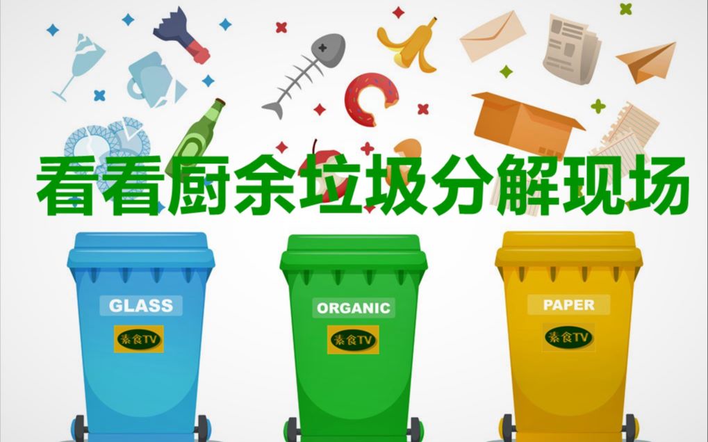 垃圾分类来看看 探秘我们的厨余垃圾_| 垃圾分类能搞好吗 | 素食TV