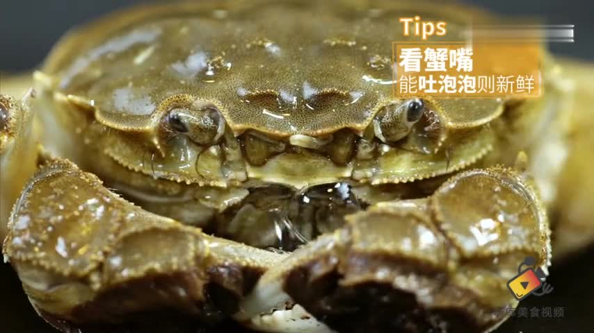 如何辨别大闸蟹好坏,有效的办法就是这几个了,一定记牢了