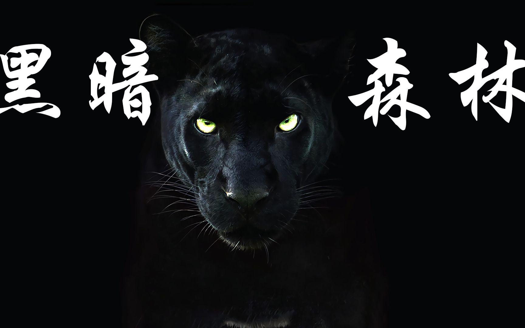 黑暗森林法则是费米悖论唯一的解释吗?外星文明不接触地球的原因有...