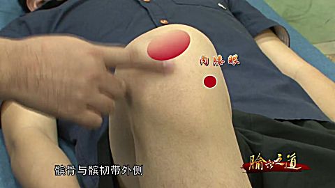 内外膝眼-中医治疗膝关节疼痛之法