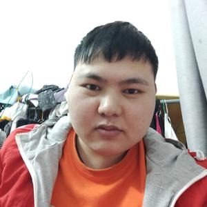 龙 