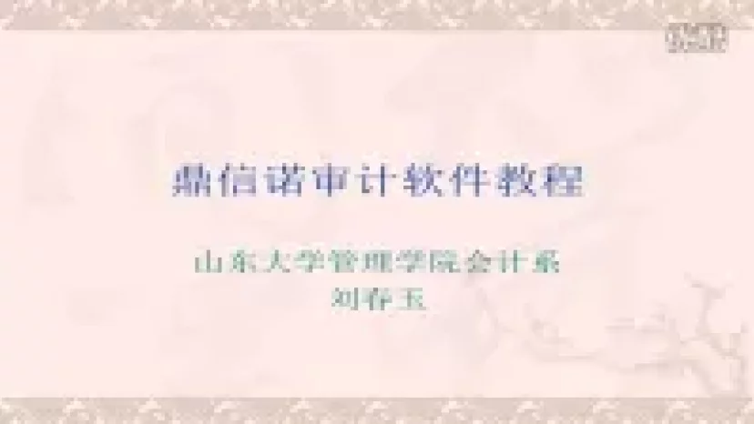 鼎信诺审计软件教程1_标清