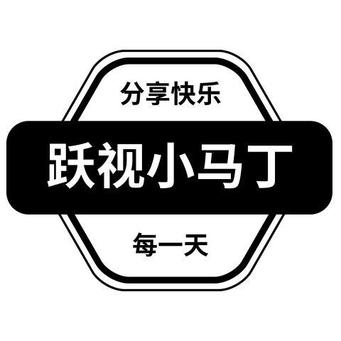 跃视小马丁 
