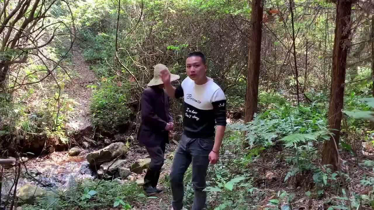 深山里难寻的"珍珠果",只生长在悬崖峭壁上,大家一起认识下。