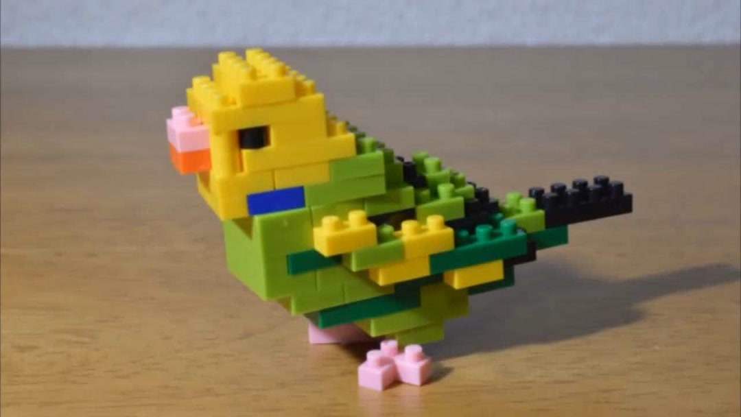实景动画 如何用乐高来制作鹦鹉