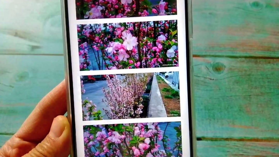 打开微信这个功能,还可以把“相册”中的图片拼接成“长图”?