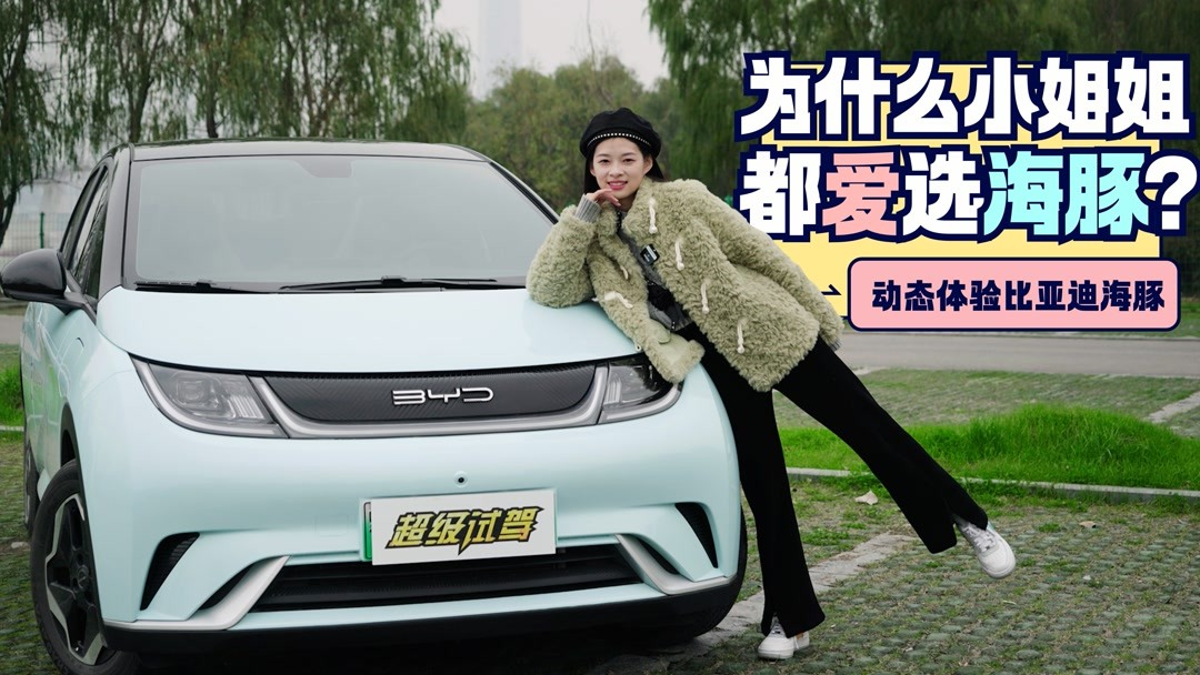 为什么小姐姐都爱选海豚? 动态体验比亚迪海豚