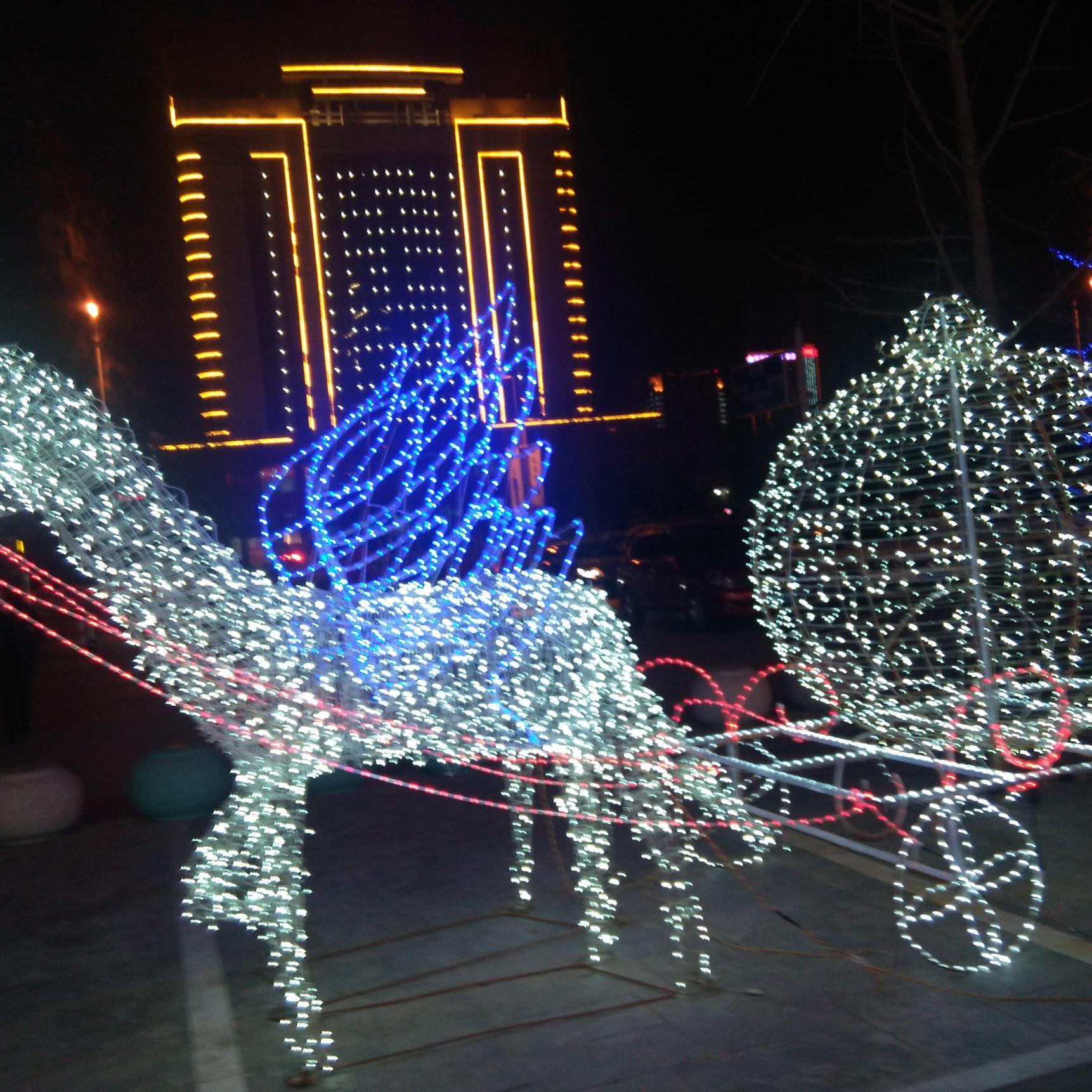 搞笑小野猫的家 