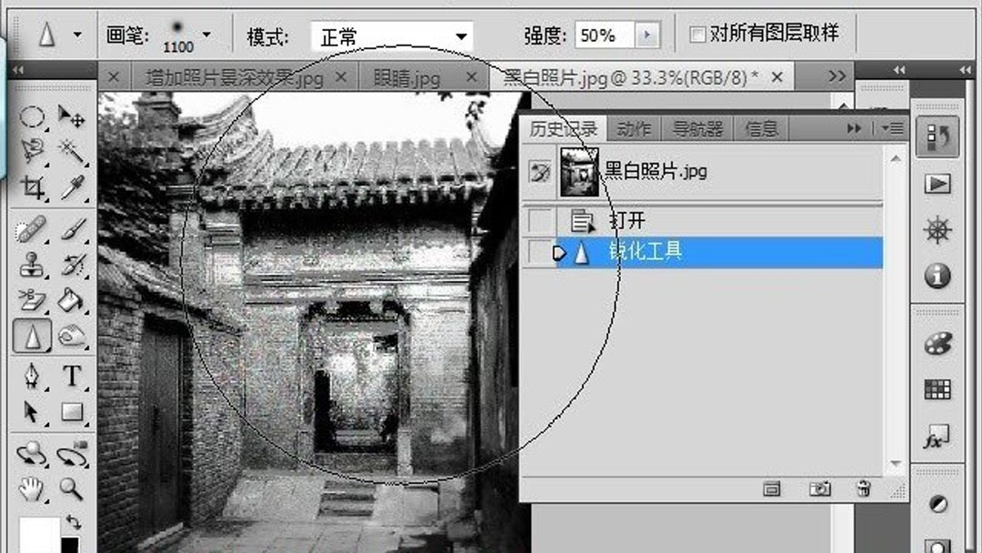 ps教程全集44模糊锐化涂抹工具初学者适用ps图片处理ps抠图