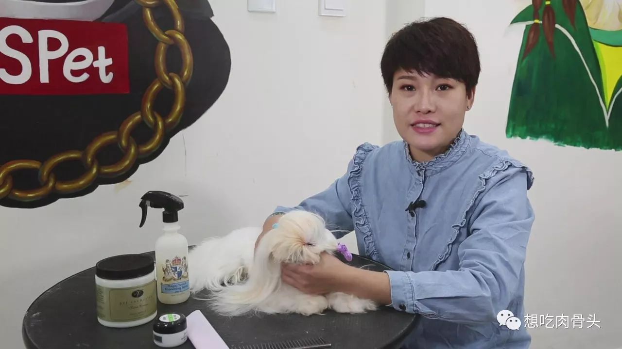 长毛狗狗毛发护理的方法和诀窍