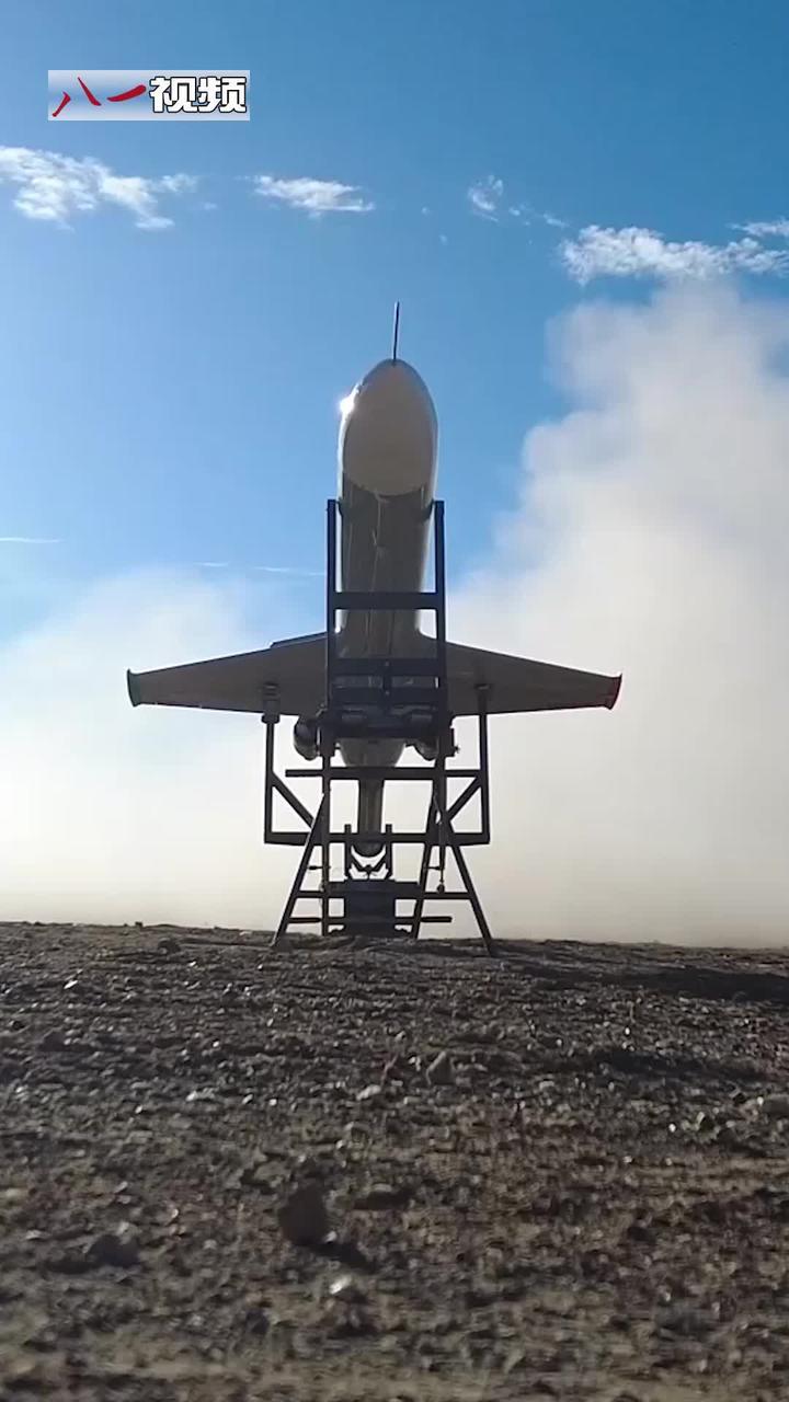 导弹出击,尽数击毁来袭目标