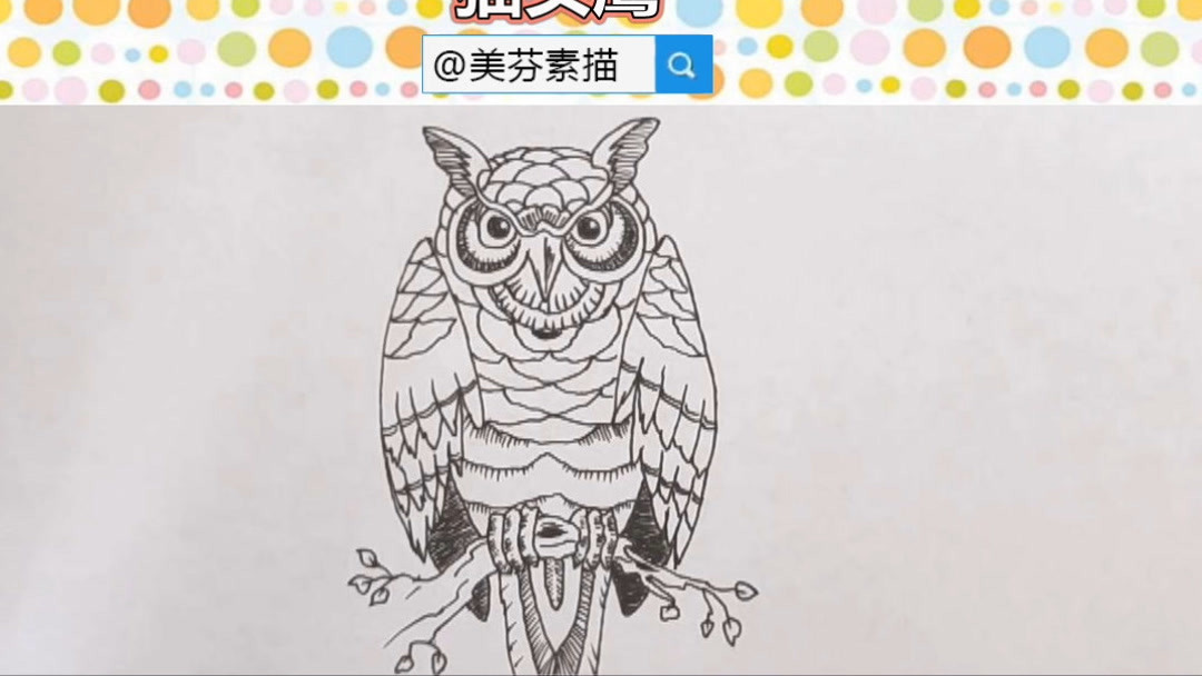 超厉害的猫头鹰速写手绘画法步骤介绍!可爱小动物速写入门教程!