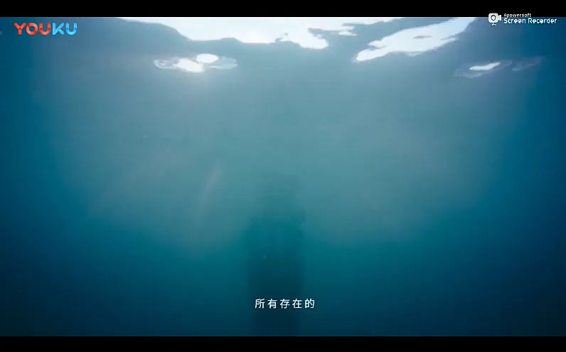 网易新闻品牌宣传片《各凭态度乘风浪》