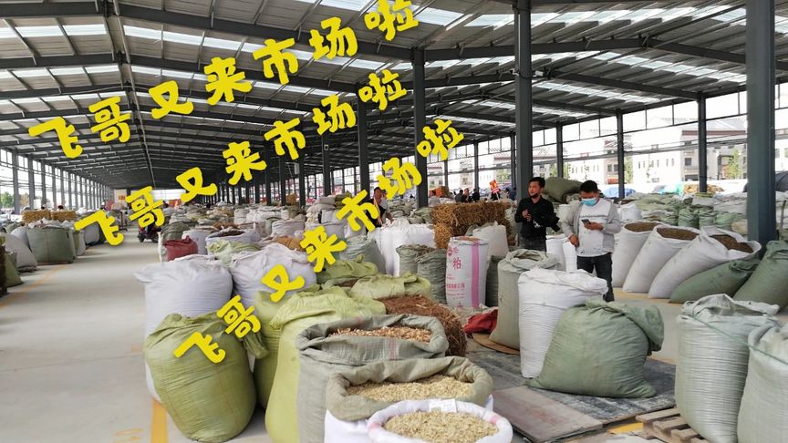 走进神农谷草药市场,寻找桑树浑身是宝系列之【桑枝】。