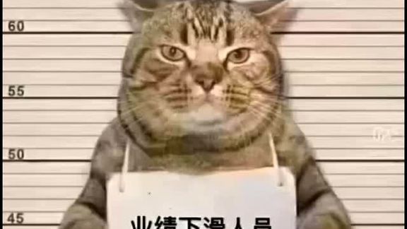 急需各位大佬介绍业务,在线等,好处大大的ߘ