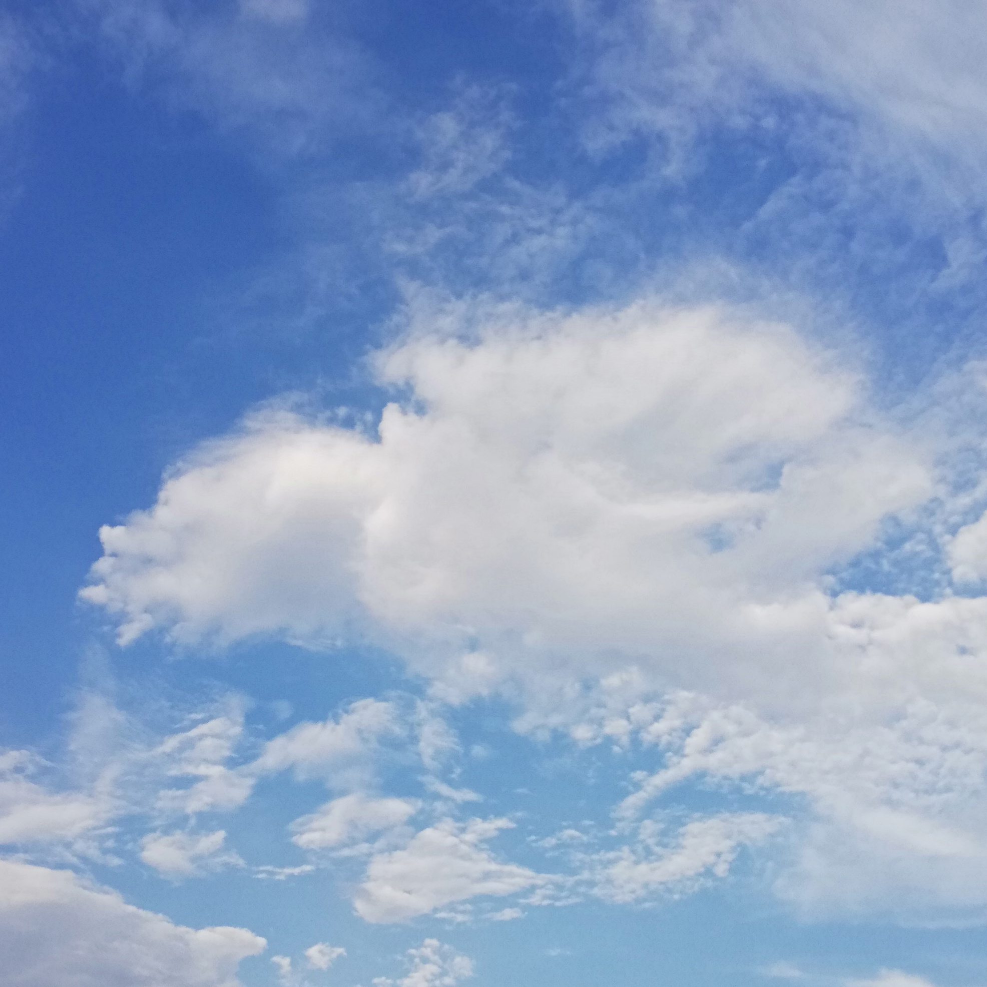 淮洛枳 
