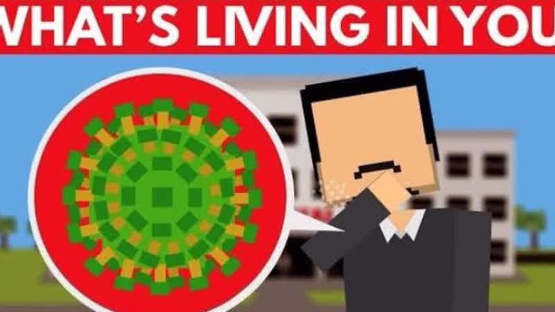 病毒传播的速度究竟有多快?