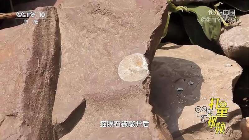 猫眼石会不会是人为绘就的一种图腾符号?专家揭秘|地理·中国