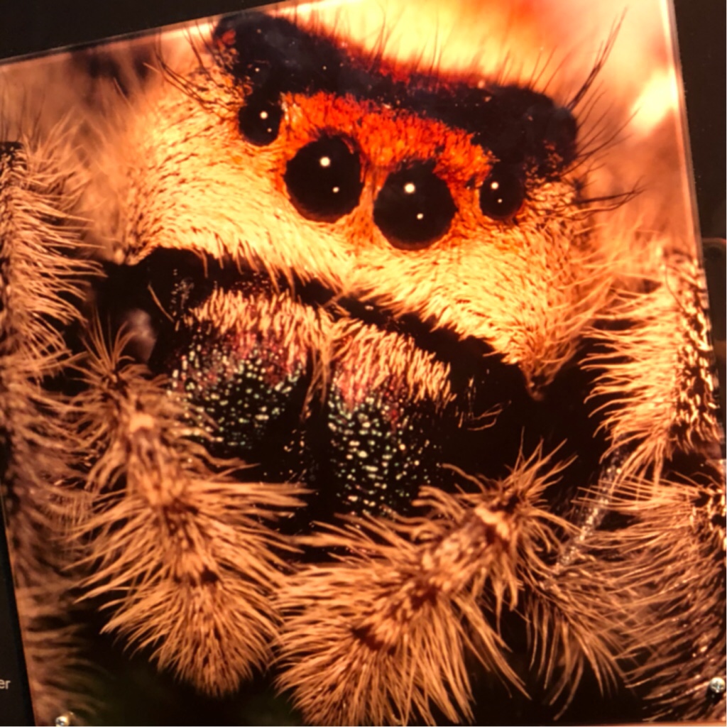 最近头皮有点痒 