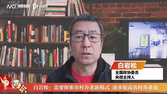 白岩松:需要探索农村养老新模式,逐步提高农村养老金