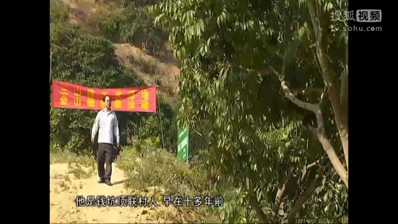 揭西县钱坑金山双品三棱橄榄基地-汕头电视台 今日视线专访