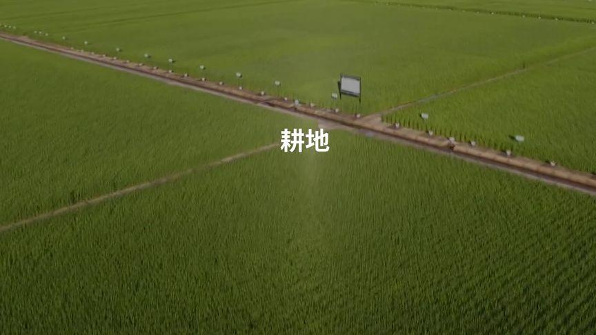 今天是第29个全国“土地日”,自然资源部官方宣传片来啦