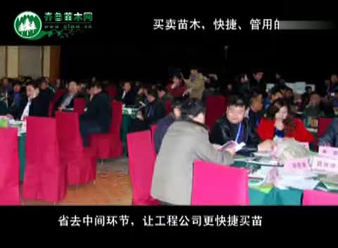 齐鲁苗木网宣传视频:菏泽牡丹苗木协会