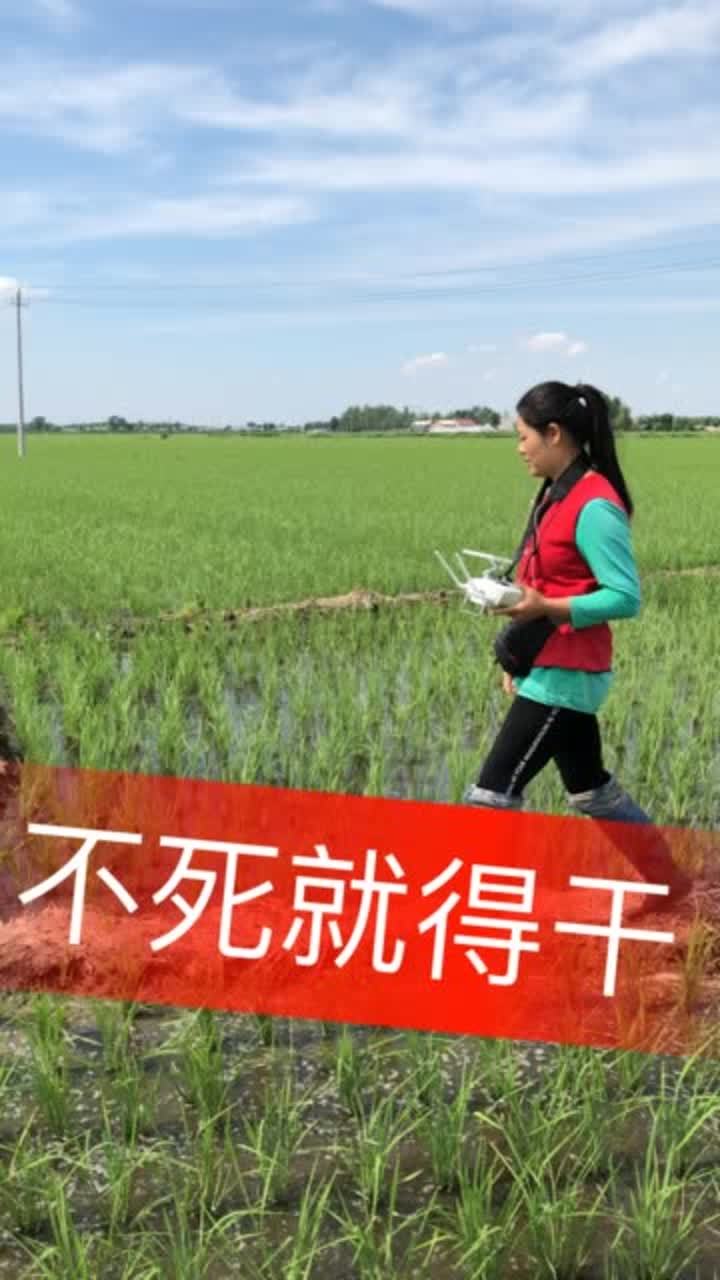 踏踏实实,做人认认真真做事废话,不多说干就完,谁也不是谁的神,不可能...