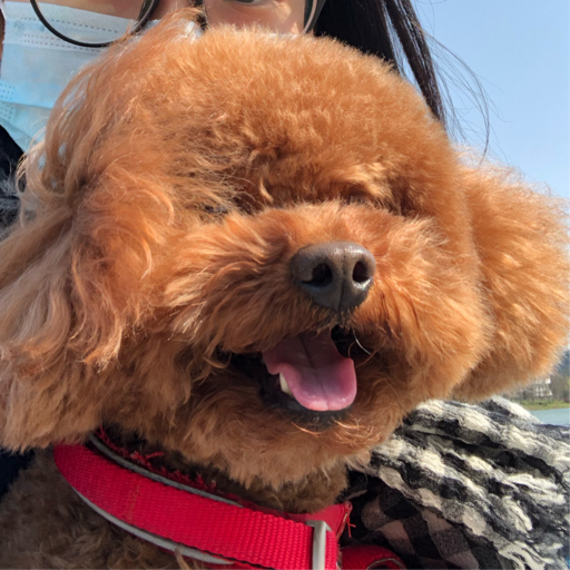 企业微信李多多 