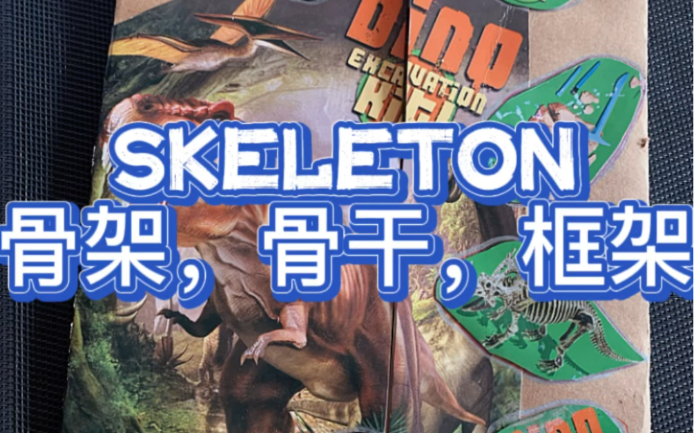 恐龙,霸王龙,手帐,Lapbook.记个单词,囧架架