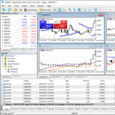 黑石外汇EA编程开发 