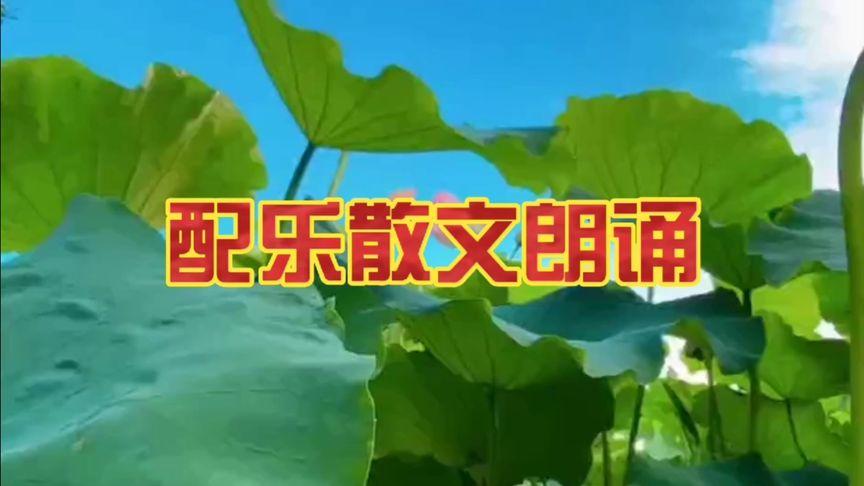 散文朗诵《荷塘月色》作者/朱自清,朗诵/姚科