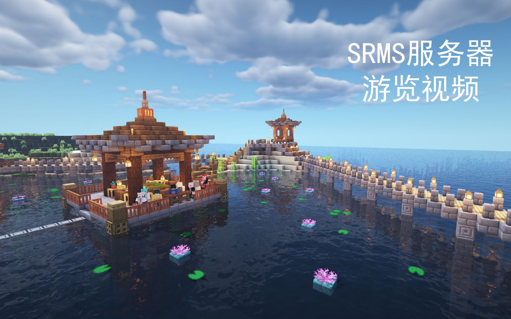 鸽子是怎样炼成的?——SRMS服务器游览视频