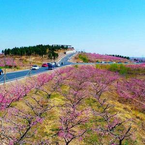 竹院烧烤（生态美食） 