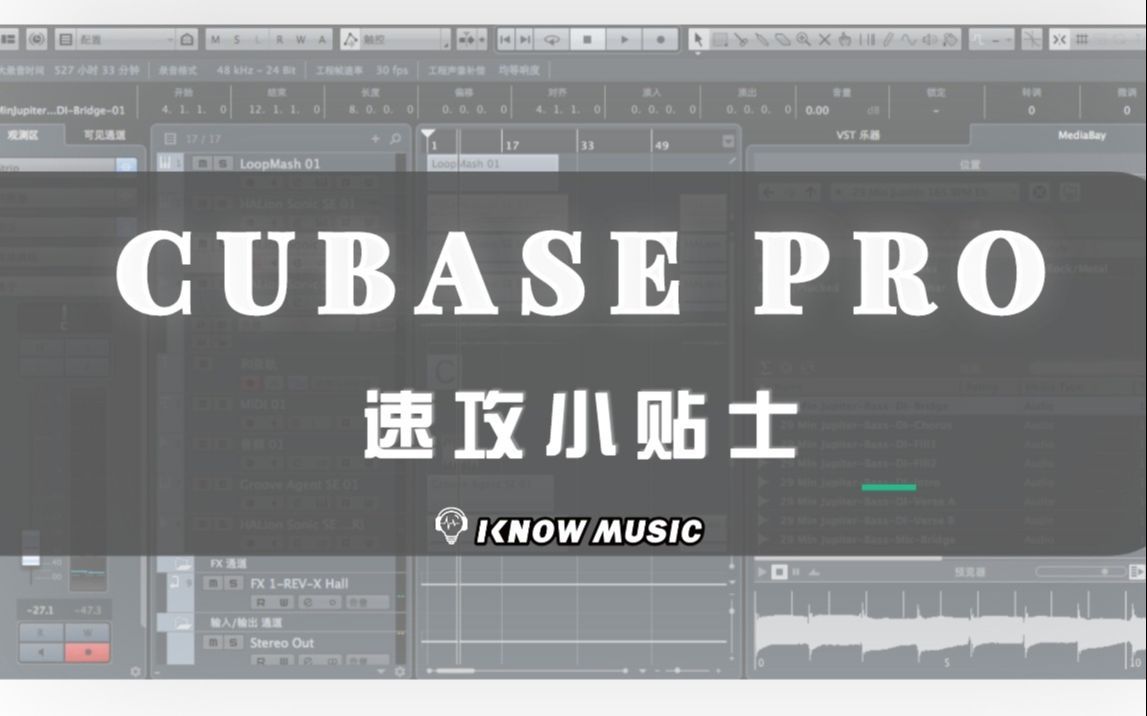【中文字幕】Cubase Pro速攻小贴士-06.设备与首选项设定-2
