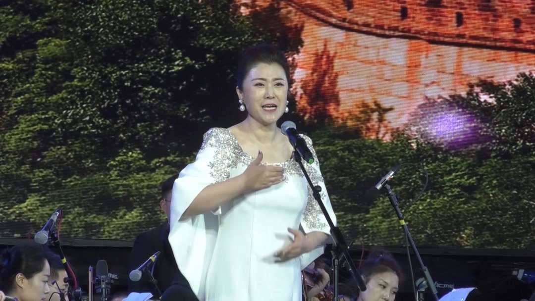 杨光出席首届全国舞台剧产业发展大会 孙媛媛献歌祖国